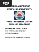 Coca-Cola Manufacturing Process Flow Chart | PDF | Industrial Processes ...