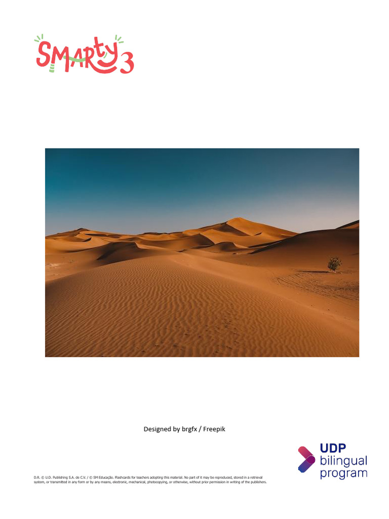 Flashcards - Smarty 3 - Unit 5 | PDF