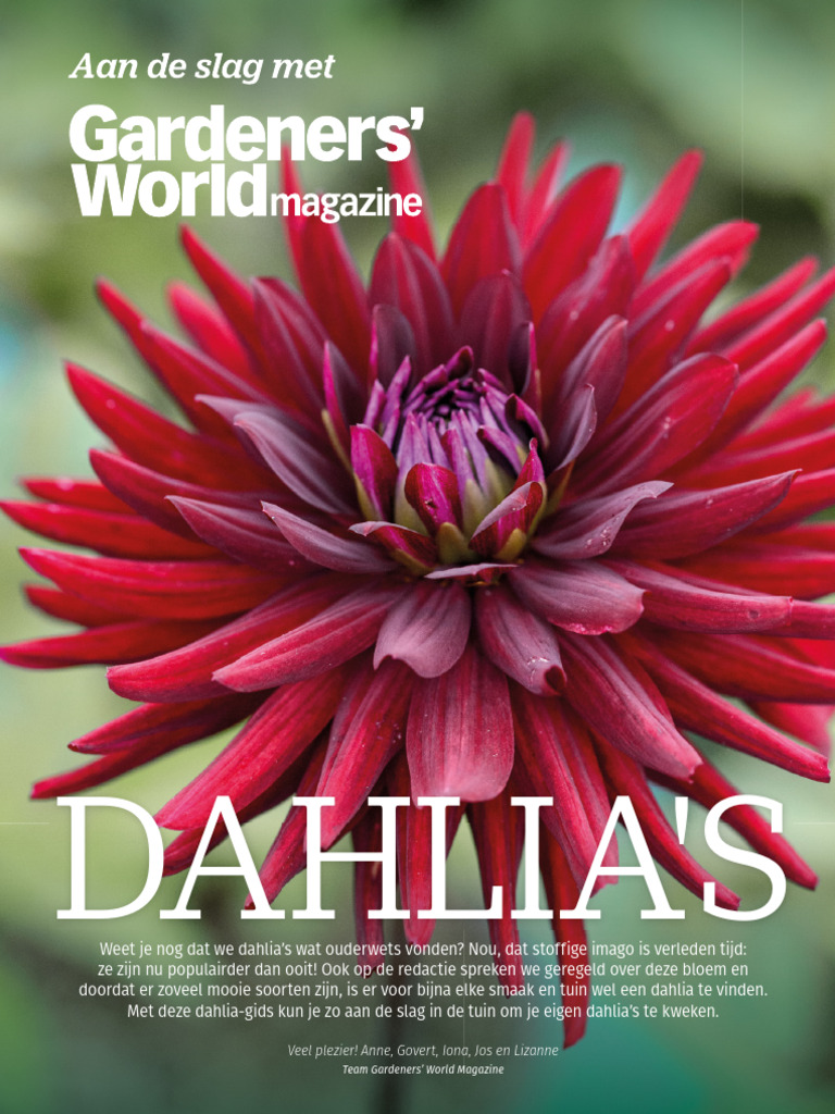 GW25 Dahlias | PDF