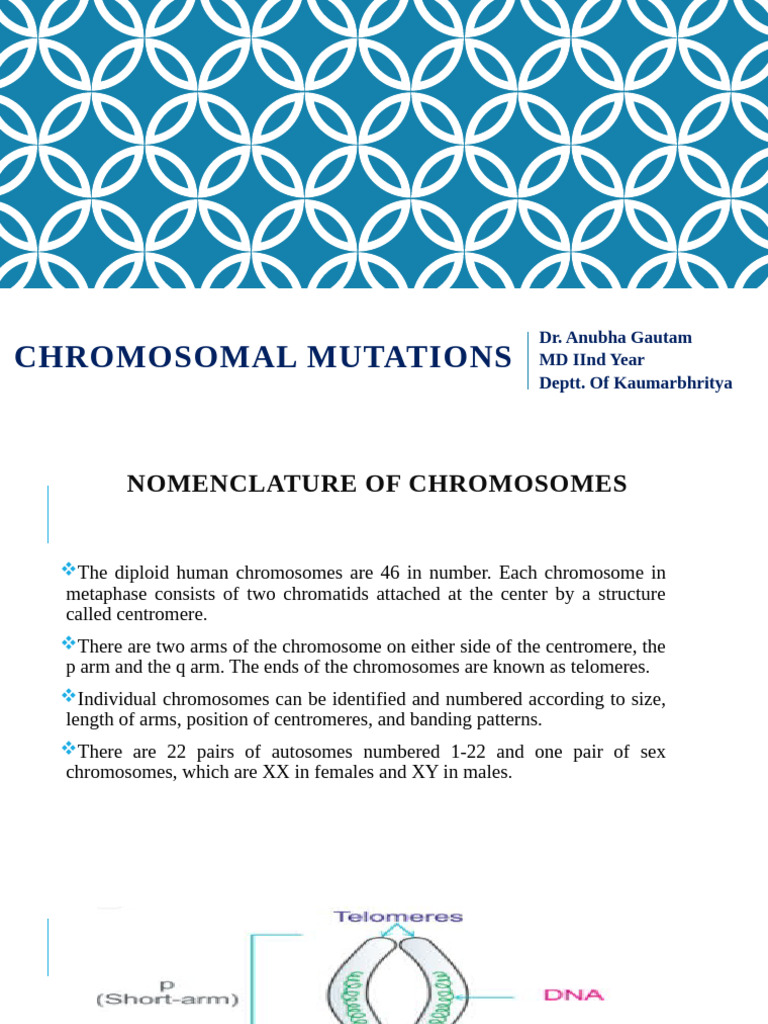 Chromosomal Mutations | PDF | Ploidy | Down Syndrome