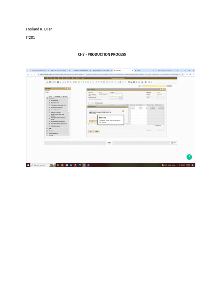 Dilan Froiland Production Process | PDF