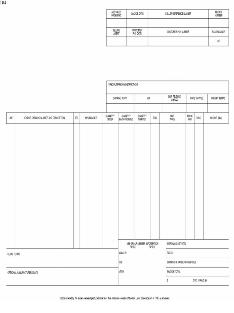 IV EN1-Scrambled | PDF