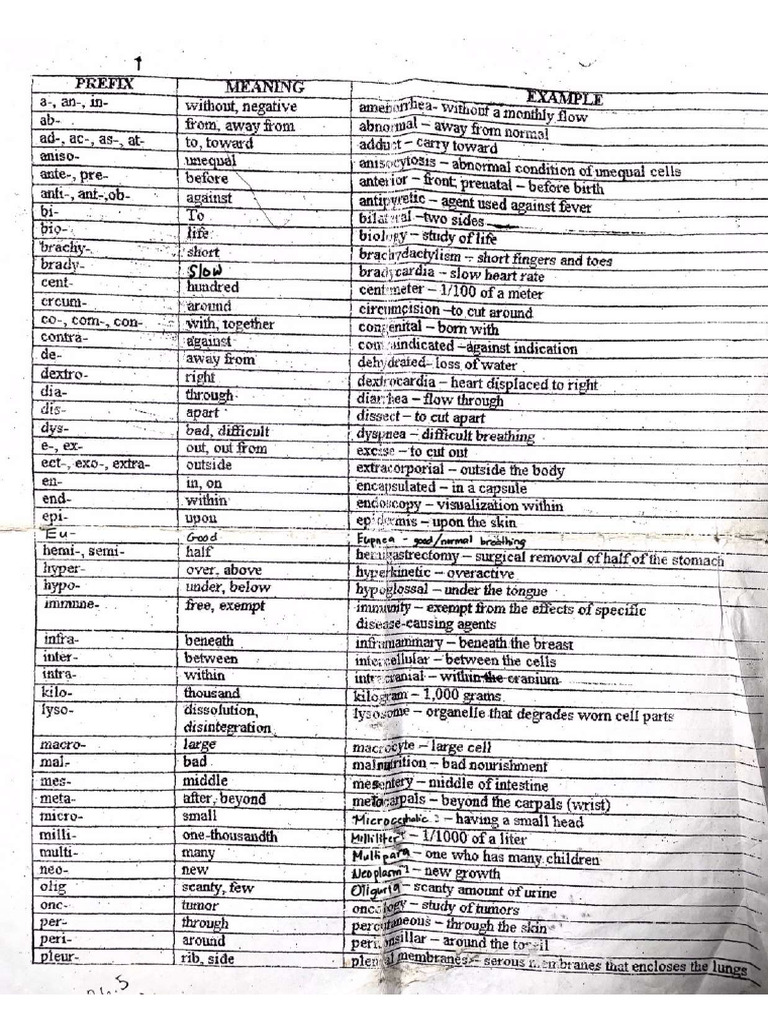 Prefixes and Suffixes Medical Terminology | PDF