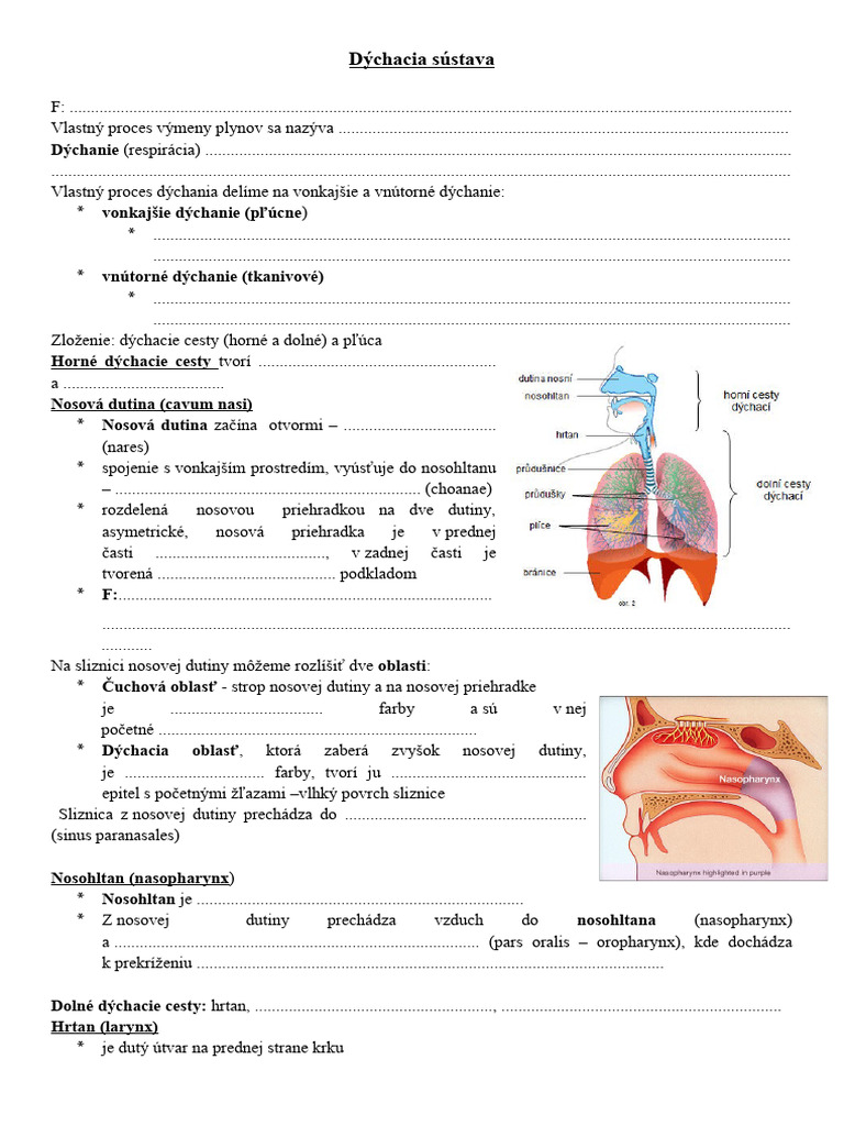 Dýchacia Sustava PL | PDF