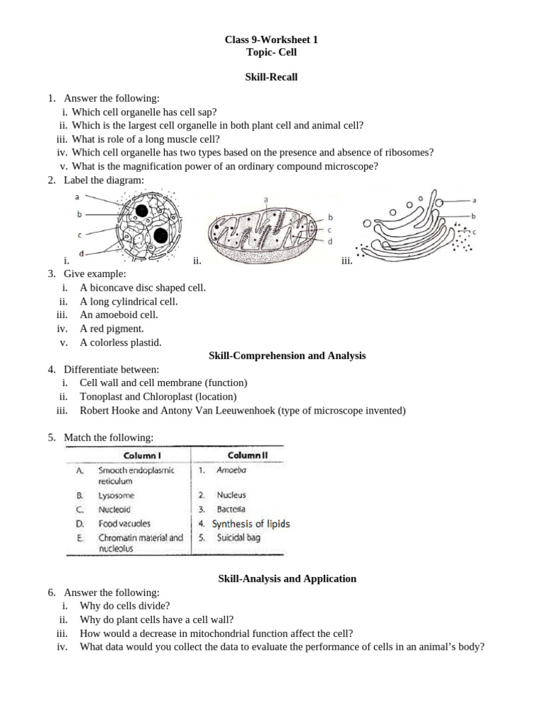 Class 9 Cell Organelle Worksheet | PDF