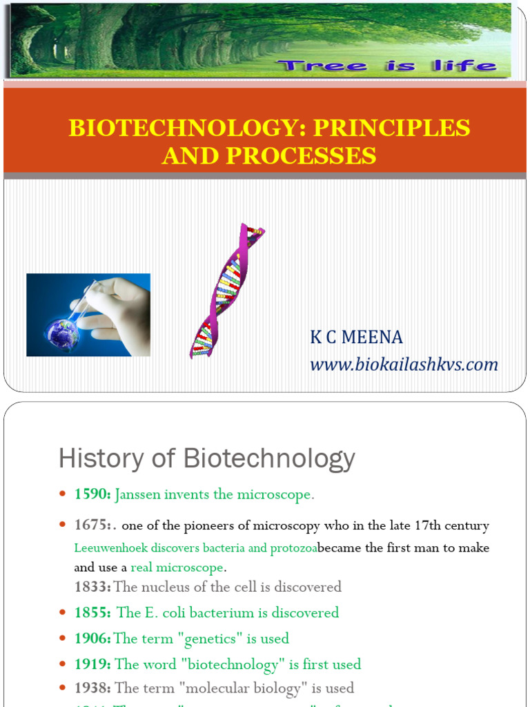 Biotechnology Principles and Processes | PDF | Restriction Enzyme | Plasmid