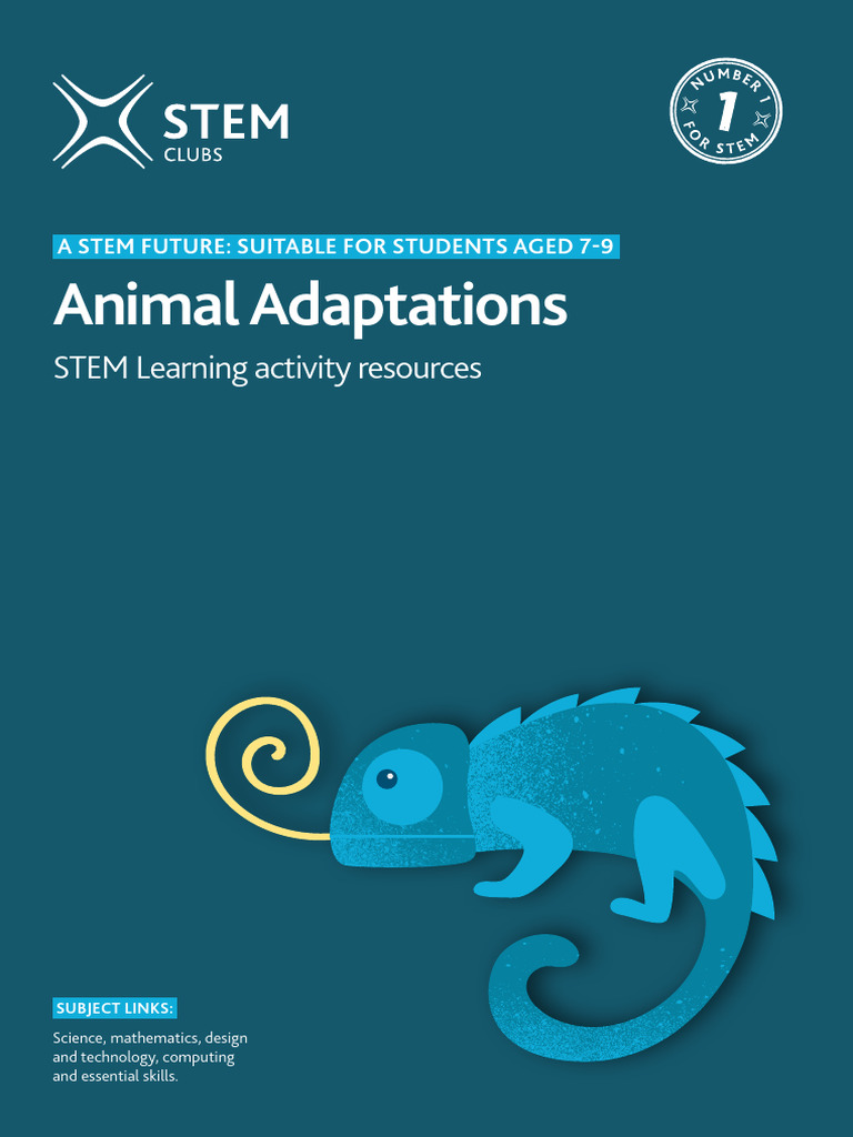 STEM Clubs Animal Adaptations Booklet | PDF | Science, Technology ...