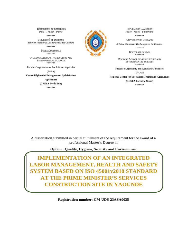 Dissertation 2024 ABOMO MVONDO NOUVO PRO_juin 2024 corrigé | PDF | Risk | Thesis