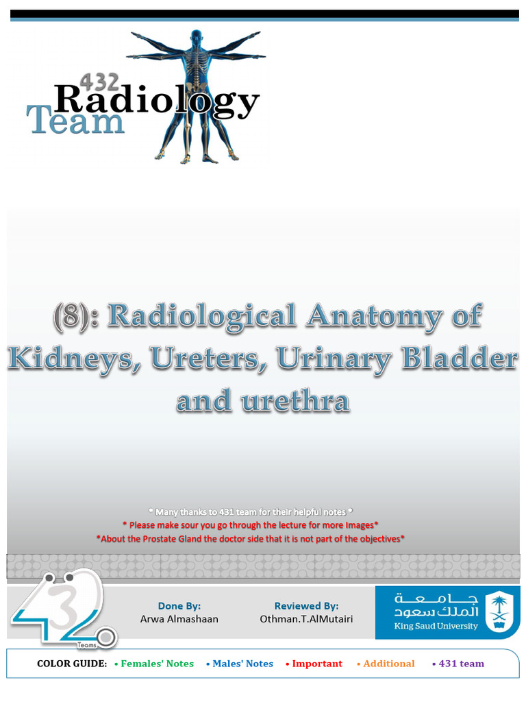 L-8 Radiological Anatomy of Kidneys, Ureters, Urinary Bladder and ...