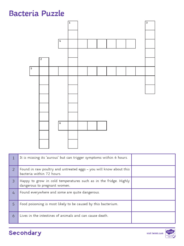 Bacteria Puzzle Activity Sheets | PDF | Foodborne Illness | Organisms