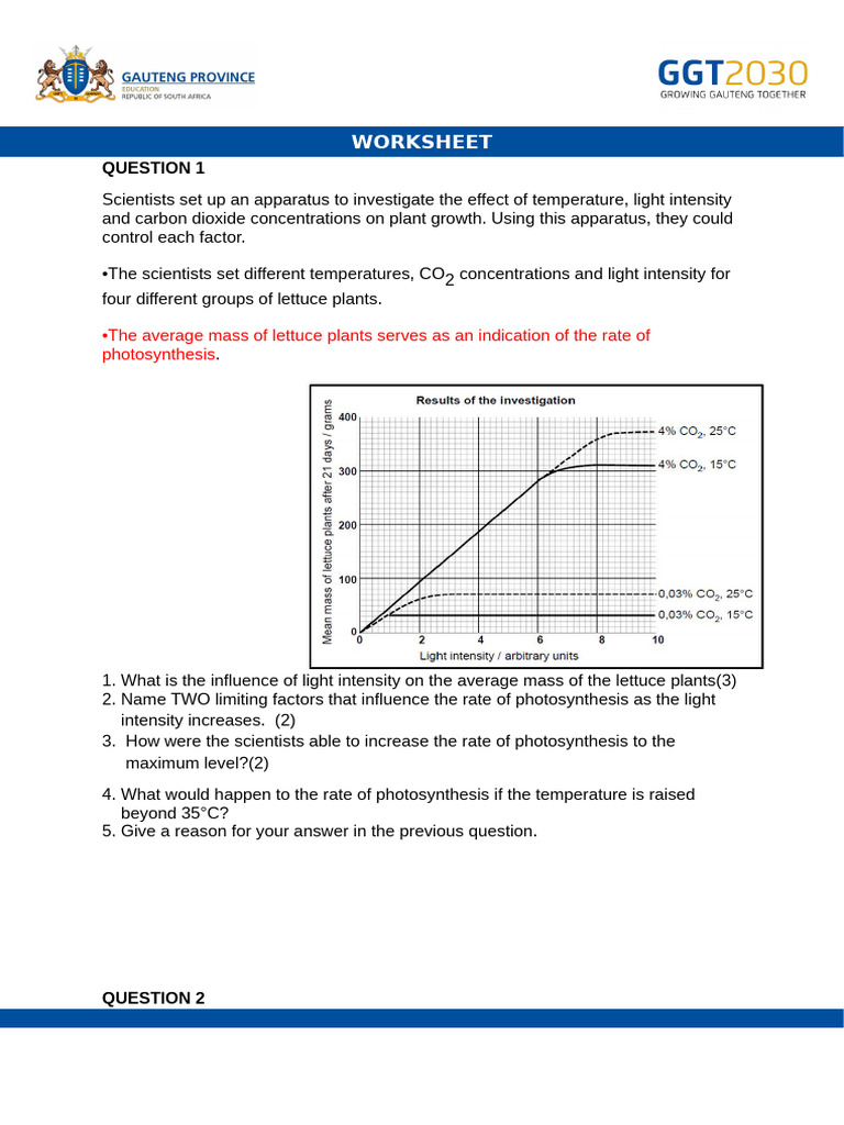 Jit Worksheet Rate of Photosynthesis | PDF
