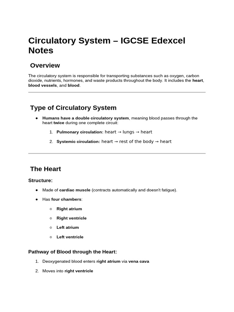 Circulatory System - IGCSE Edexcel Notes | PDF | Circulatory System | Heart