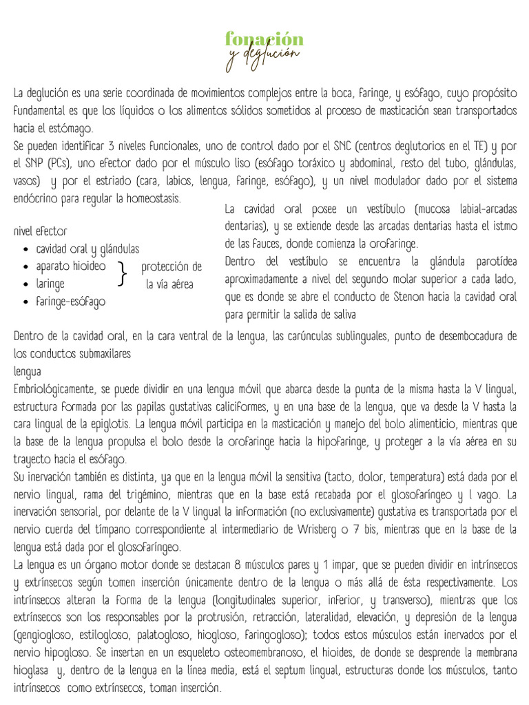 Fonación | PDF | Laringe | Esófago