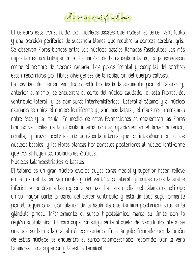 Diencéfalo | PDF | Cerebro | Neuroanatomía