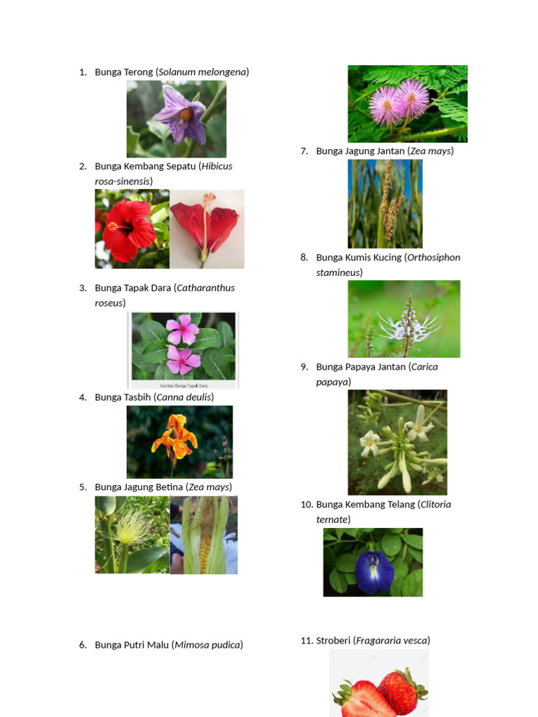 Unit 5 Fistum Pembanding | PDF