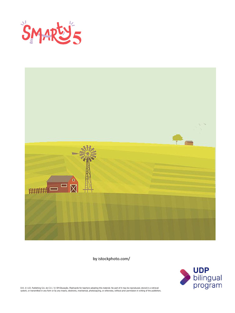 Flashcards - Smarty 5 - Unit 5 - 7 | PDF