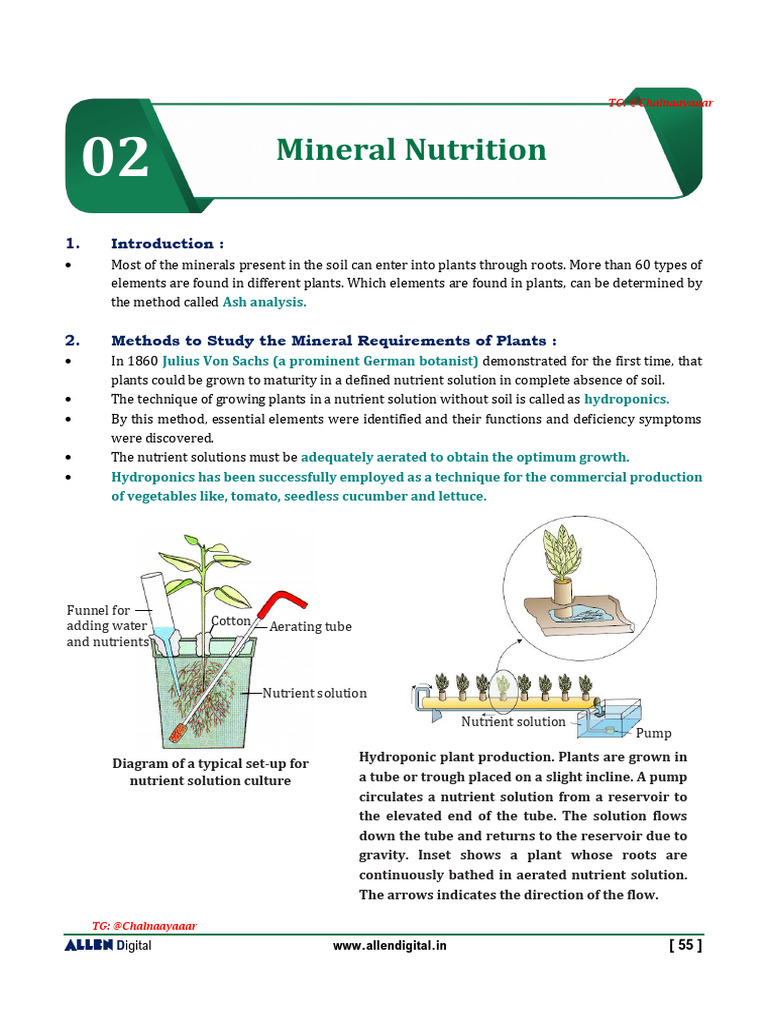 Plant Mineral Nutrition Overview | PDF | Plant Nutrition | Nutrients