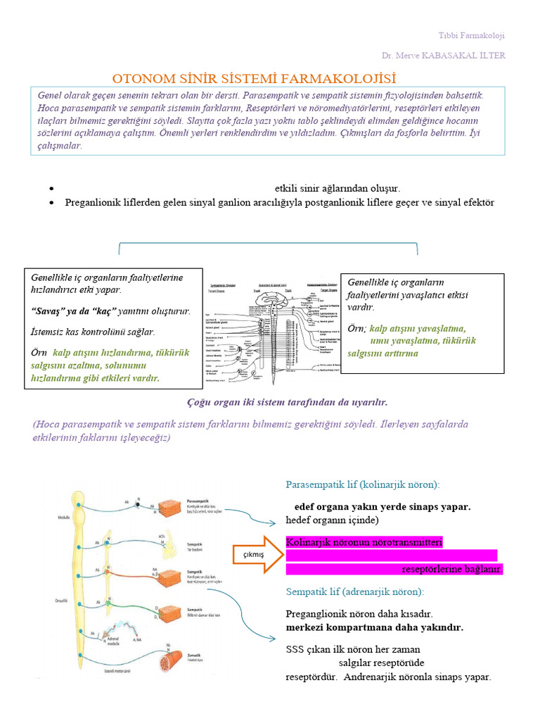 1-Otonom Sinir Sistemi | PDF