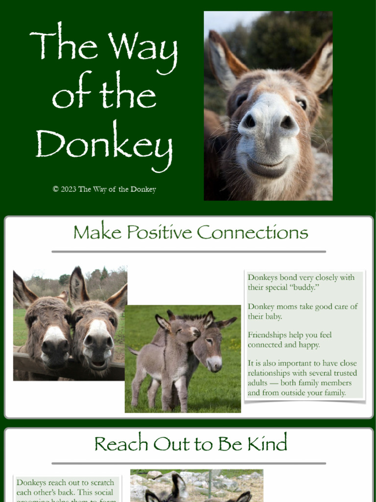 8d05 D0e5 4f16 d4b5551624 - Donkey - Imag2222e | PDF
