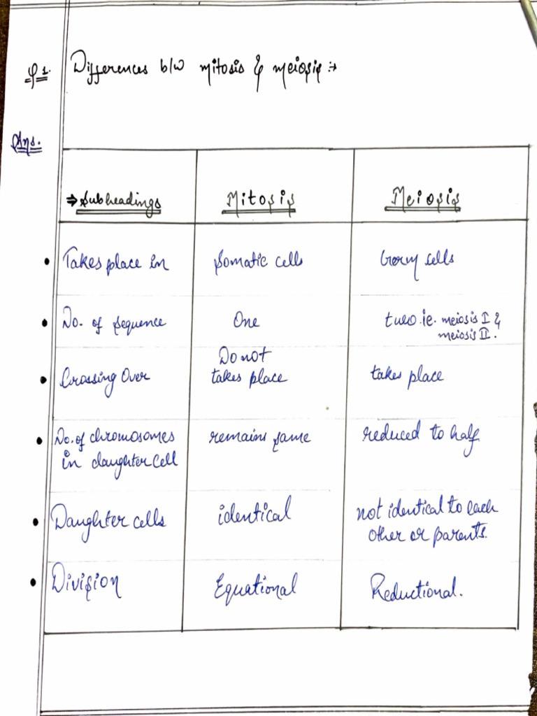 Embryology Questions Part 1 | PDF