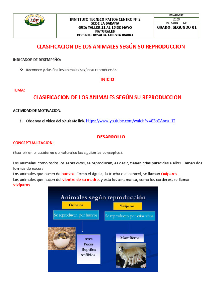 Clasificación de Animales por Reproducción | PDF | Interacciones ...