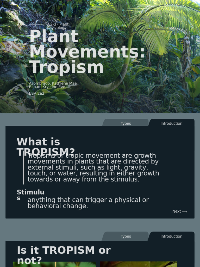 PLANT MOVEMENTS - Tropism | PDF | Plant Hormone | Auxin