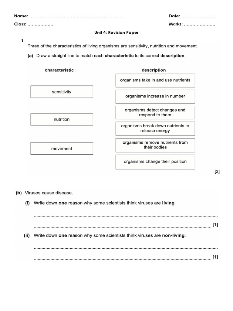 Grade 6 Unit 4 Revision Paper | PDF