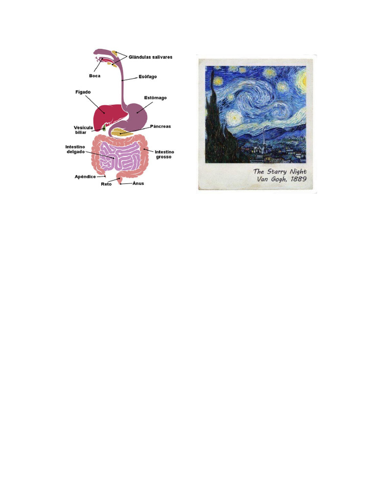 ciencias annab | PDF