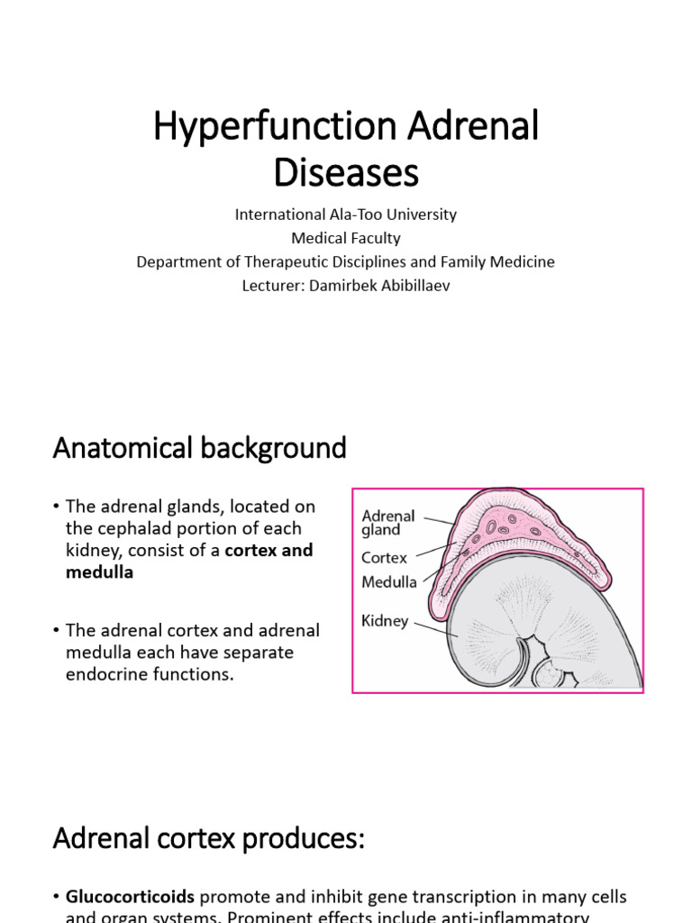 Adrenal Diseases: Hyperfunction Overview | PDF | Adrenal Gland | Cortisol