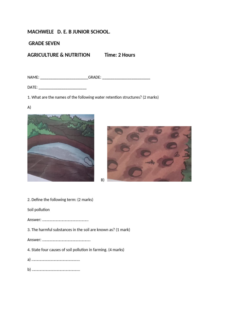 Grade 7 Agriculture & Nutrition Quiz | PDF | Environmental Issues ...