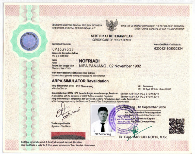 ARPA SIMULATOR | PDF