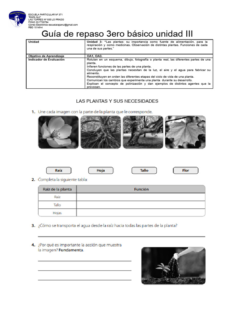 Guía de Repaso 3ero Básico Unidad III | PDF