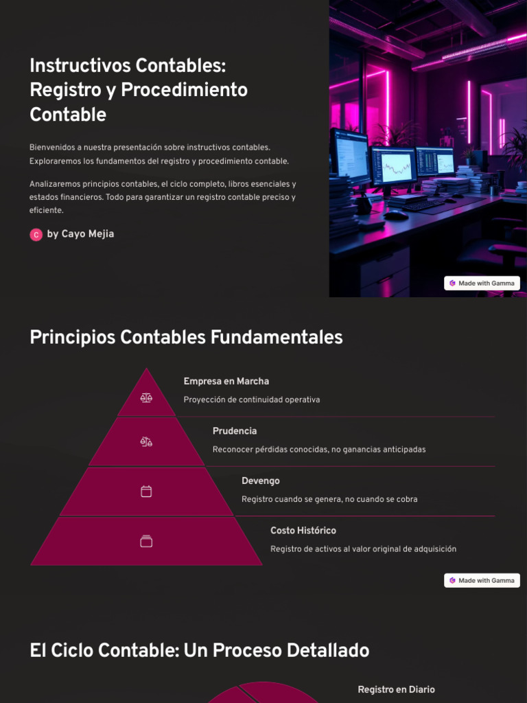 Instructivos Contables Registro y Procedimiento Contable | PDF | Contabilidad | Contabilidad ...