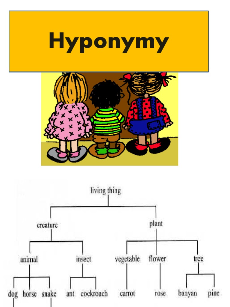 Hyponymy | PDF | Lexical Semantics | Semantics