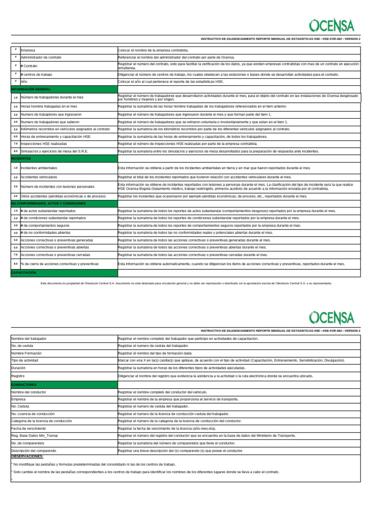 Instructivo Reporte Mensual HSE 2024 | PDF