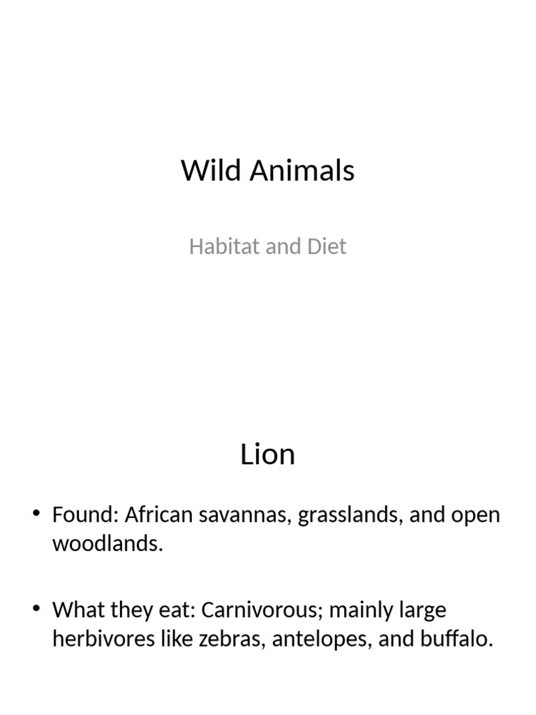 Wild Animals: Habitat and Diet Overview | PDF