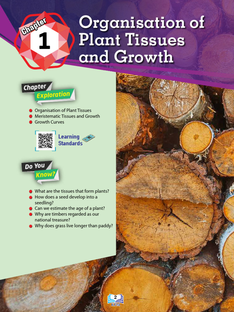 KSSM Form 5 Biology Textbook-12-35 | PDF | Tissue (Biology) | Plant Stem
