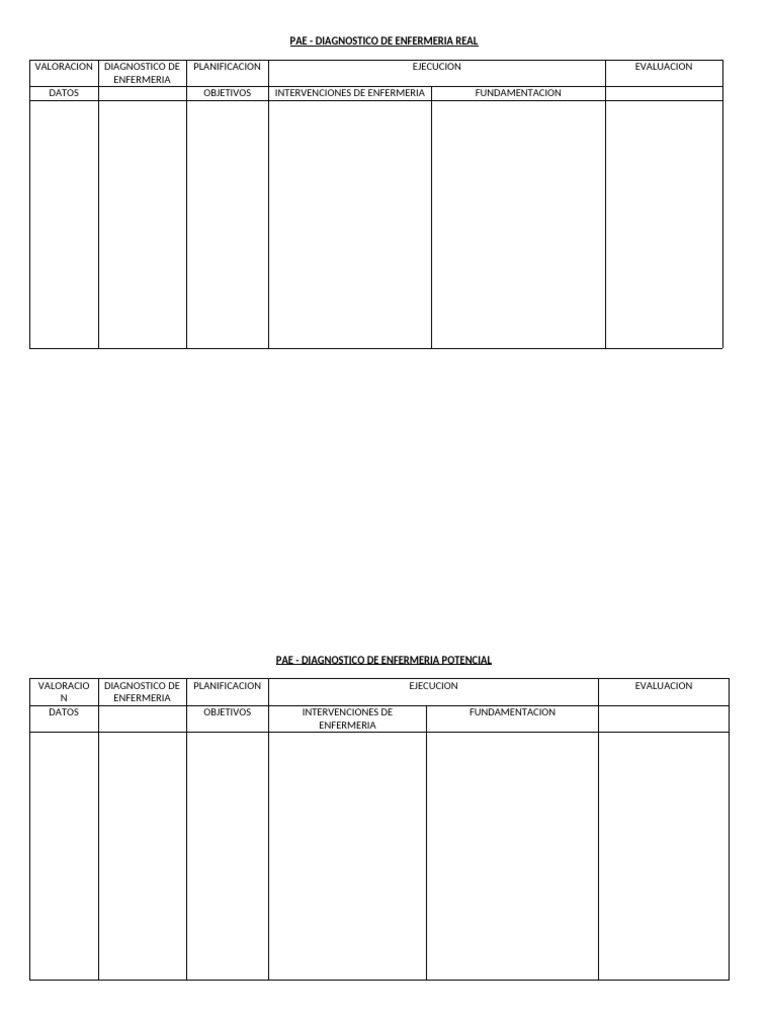 Formato de Pae Piii | PDF