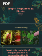 Tropisms - IGCSE Biology Revision Notes | PDF | Auxin | Root
