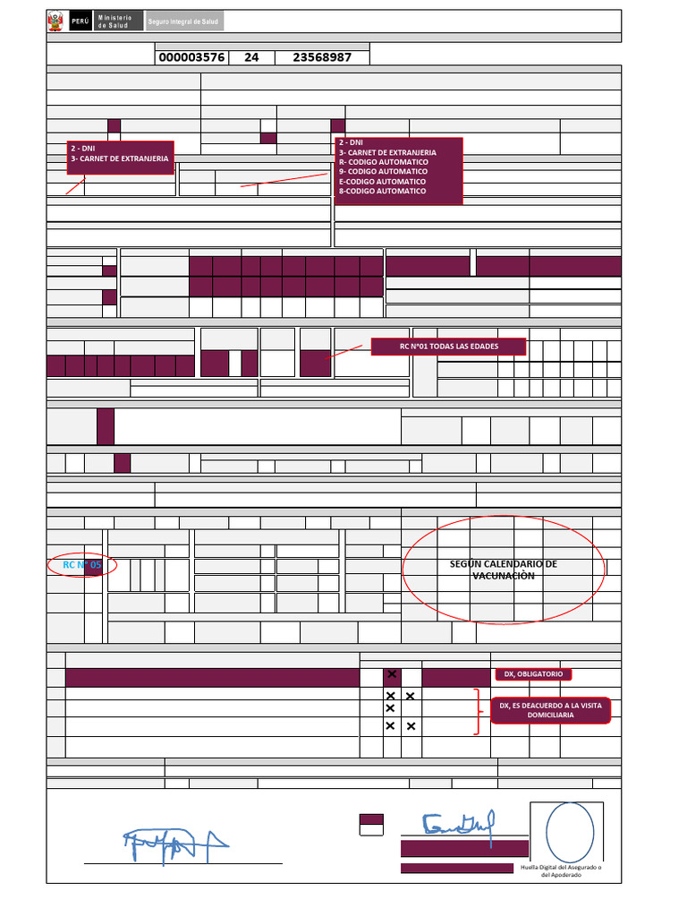 Fua 060 - Visita Domiciliaria - Obs | PDF | Ciencias de la Salud | Cuidado de la salud