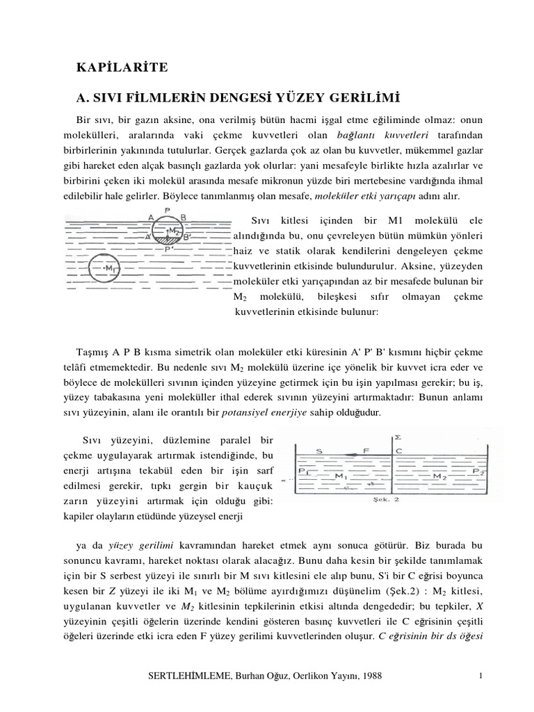 Sivi Filmlerin Dengesi | PDF