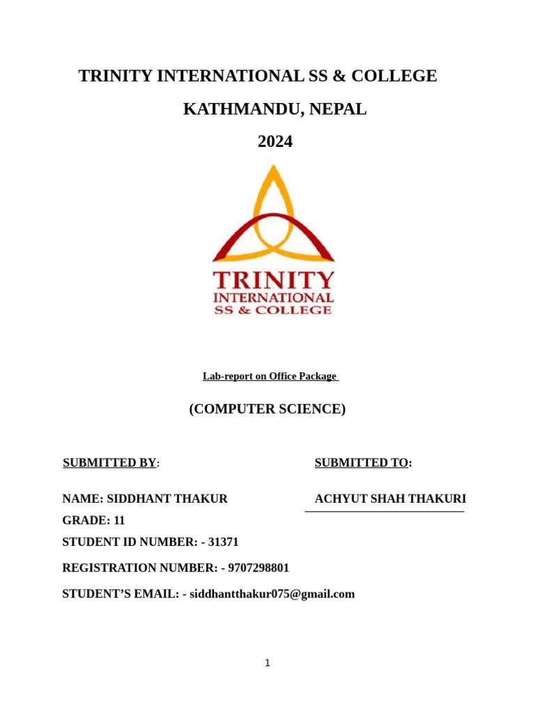 Computer Lab Report (MS-EXCEL) (2081!07!13) | PDF | Microsoft Excel | Data