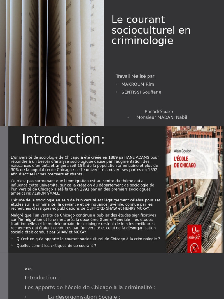 Le courant socioculturel en criminologie LAST | PDF | Crimes | Crime et ...