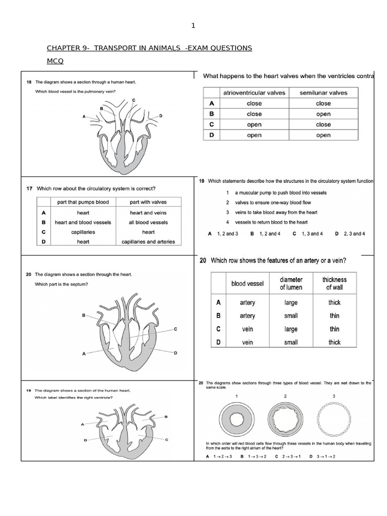 CHAPTER 9 TRANSPORT IN ANIMALS EX Q | PDF