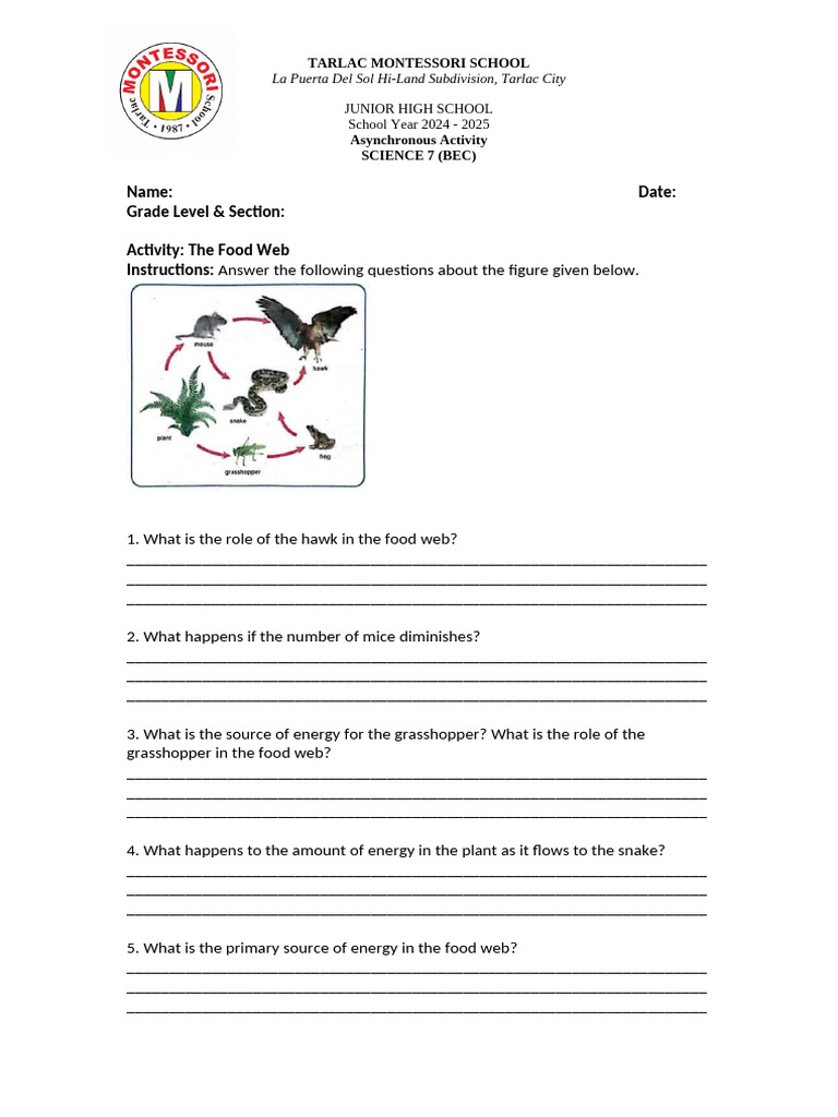 Science 7 Food Web Activity Guide | PDF
