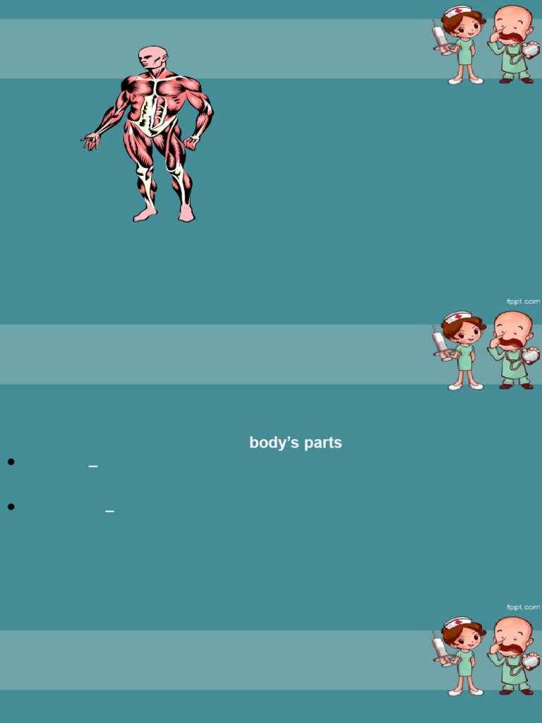 Week 1 Notes - Introduction To Anatomy and Physiology (1) - 1 | PDF ...