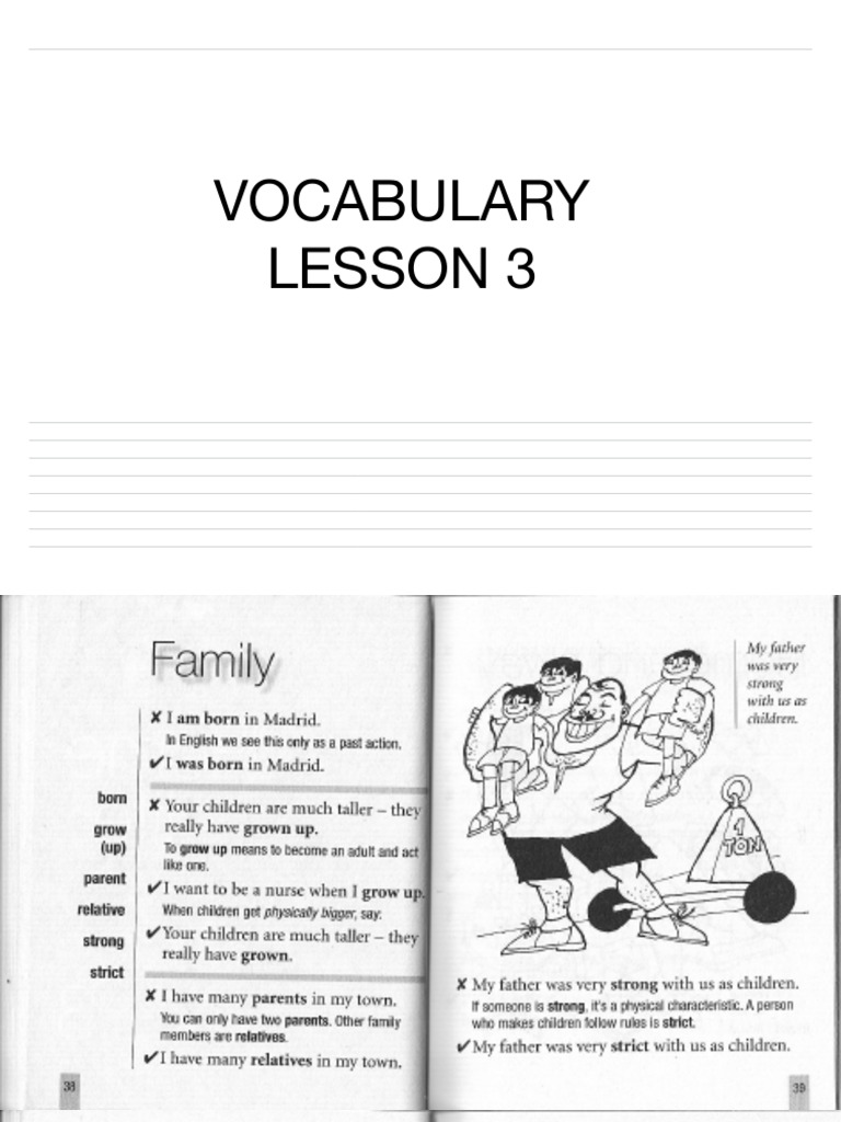 Vocabulary Lesson 3 | PDF