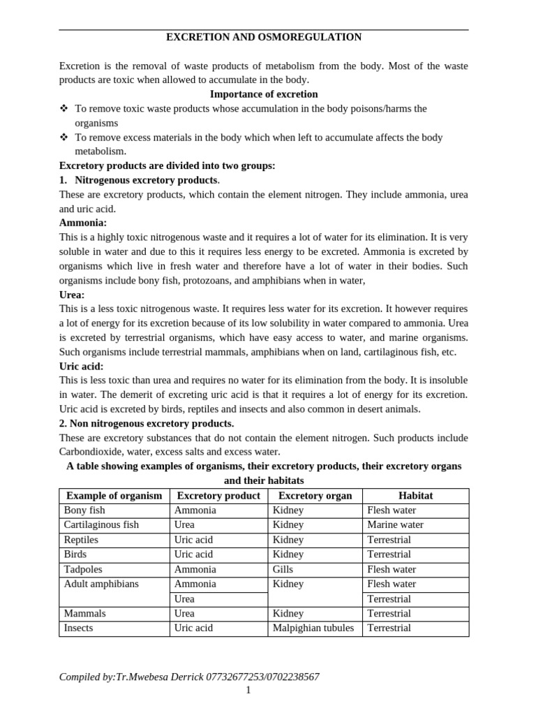 Excretion and Osmoregulation | PDF | Kidney | Excretion