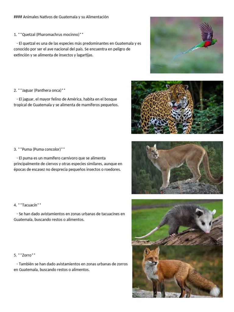 Fauna Nativa de Guatemala y su Alimentación | PDF
