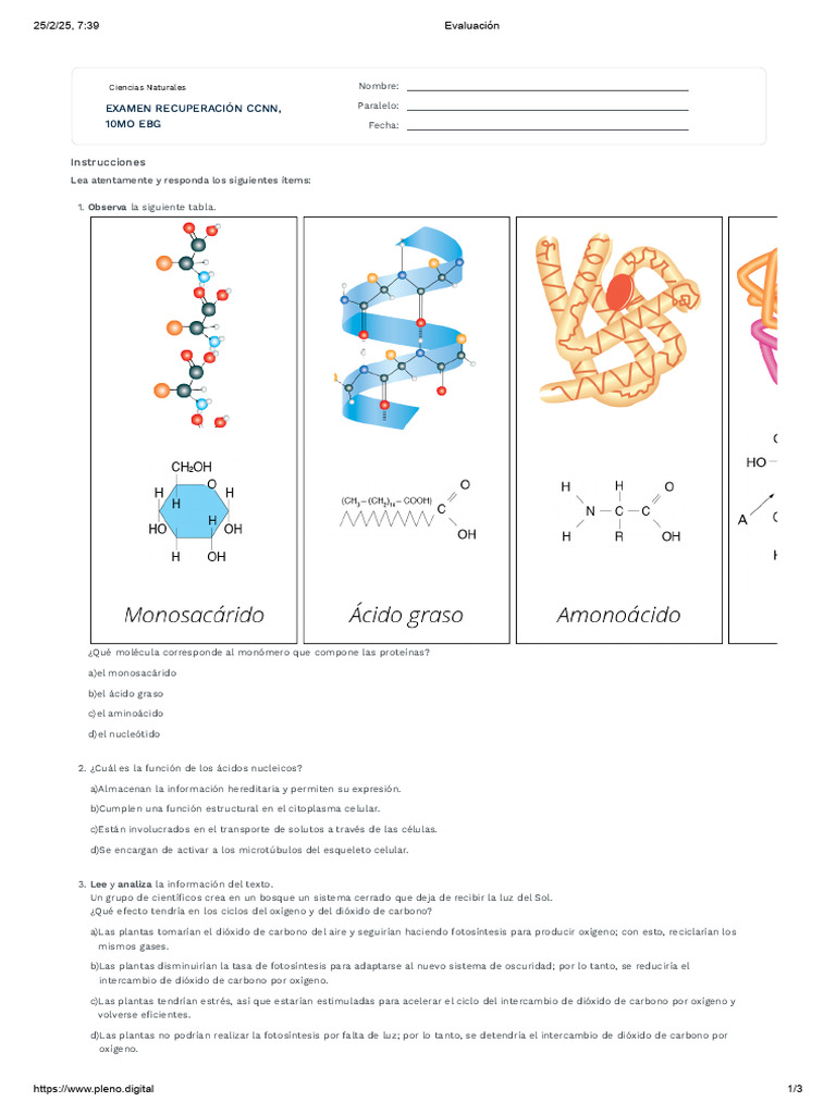 Examen Recuperación CCNN, 10mo Ebg | PDF | Amoníaco | Agua